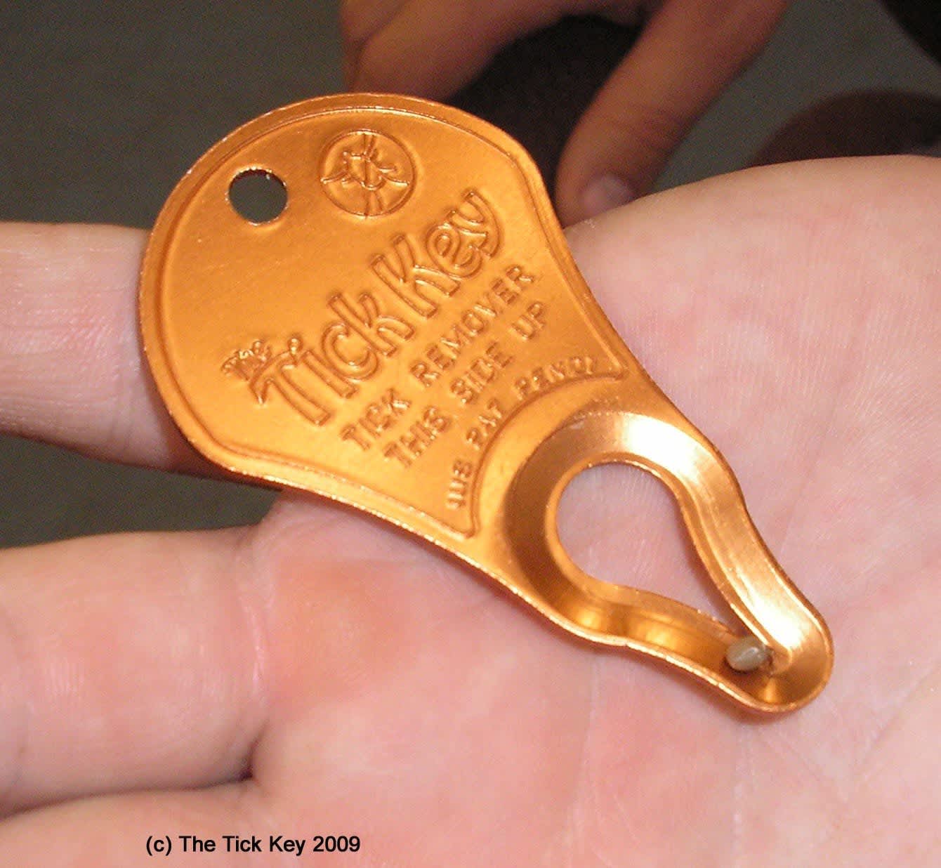 Tick Key Tick Remover » Dogfather and Co. | Dog Grooming and Retail in ...