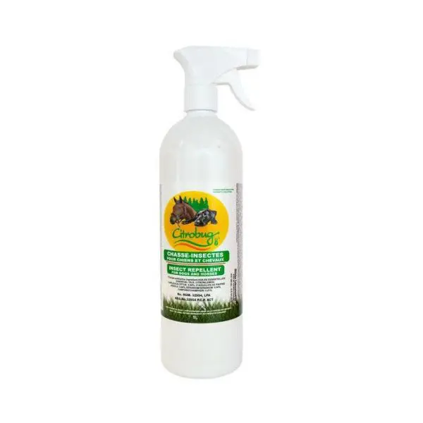 Dog insect repellent store