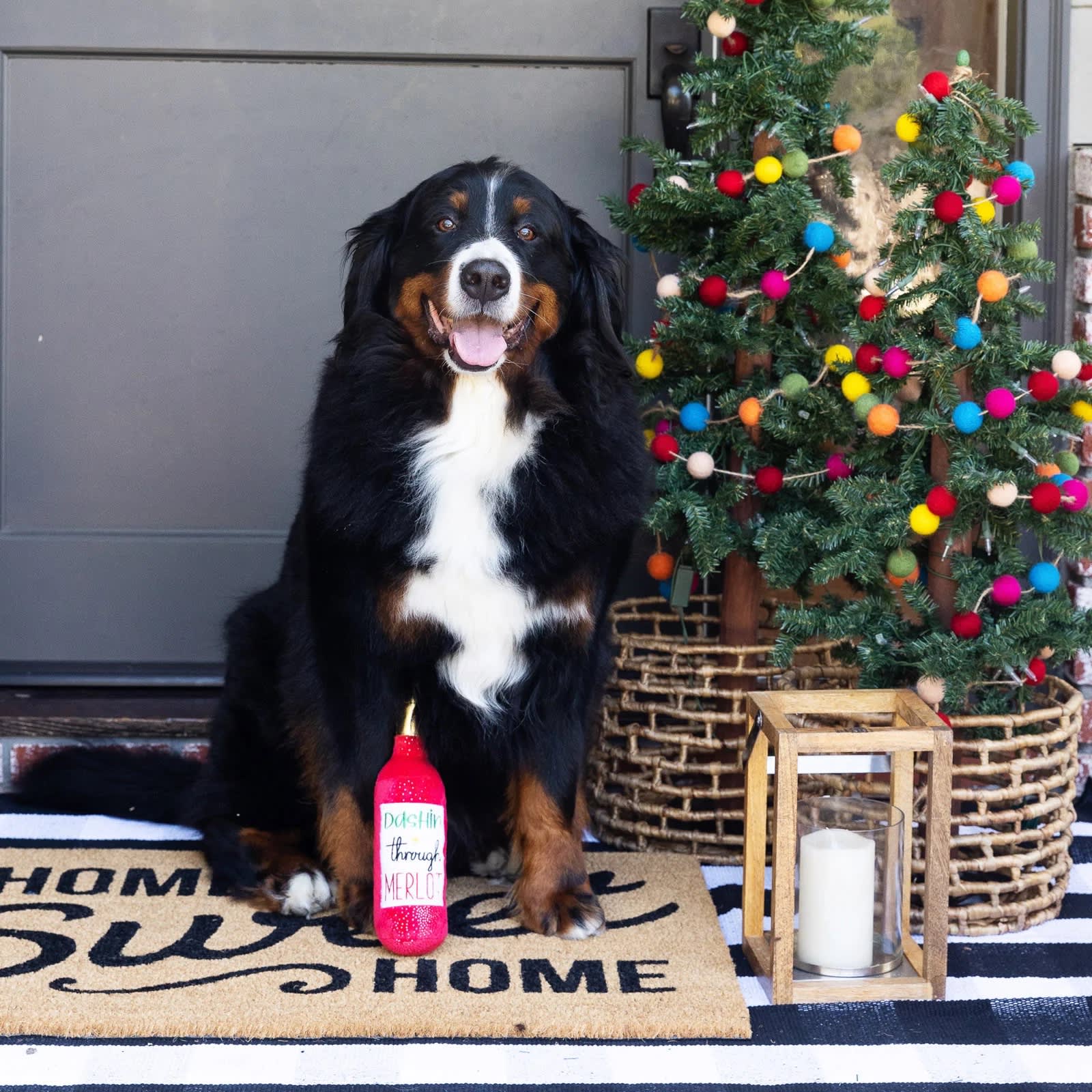 Pet Shop by Fringe Studio Holiday Dashin' Through Merlot » Dogfather ...
