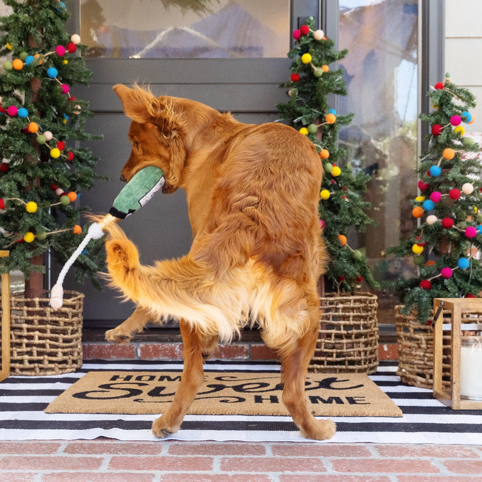 Pet Shop by Fringe Studio Holiday Pop Fizz Clink » Dogfather and Co ...