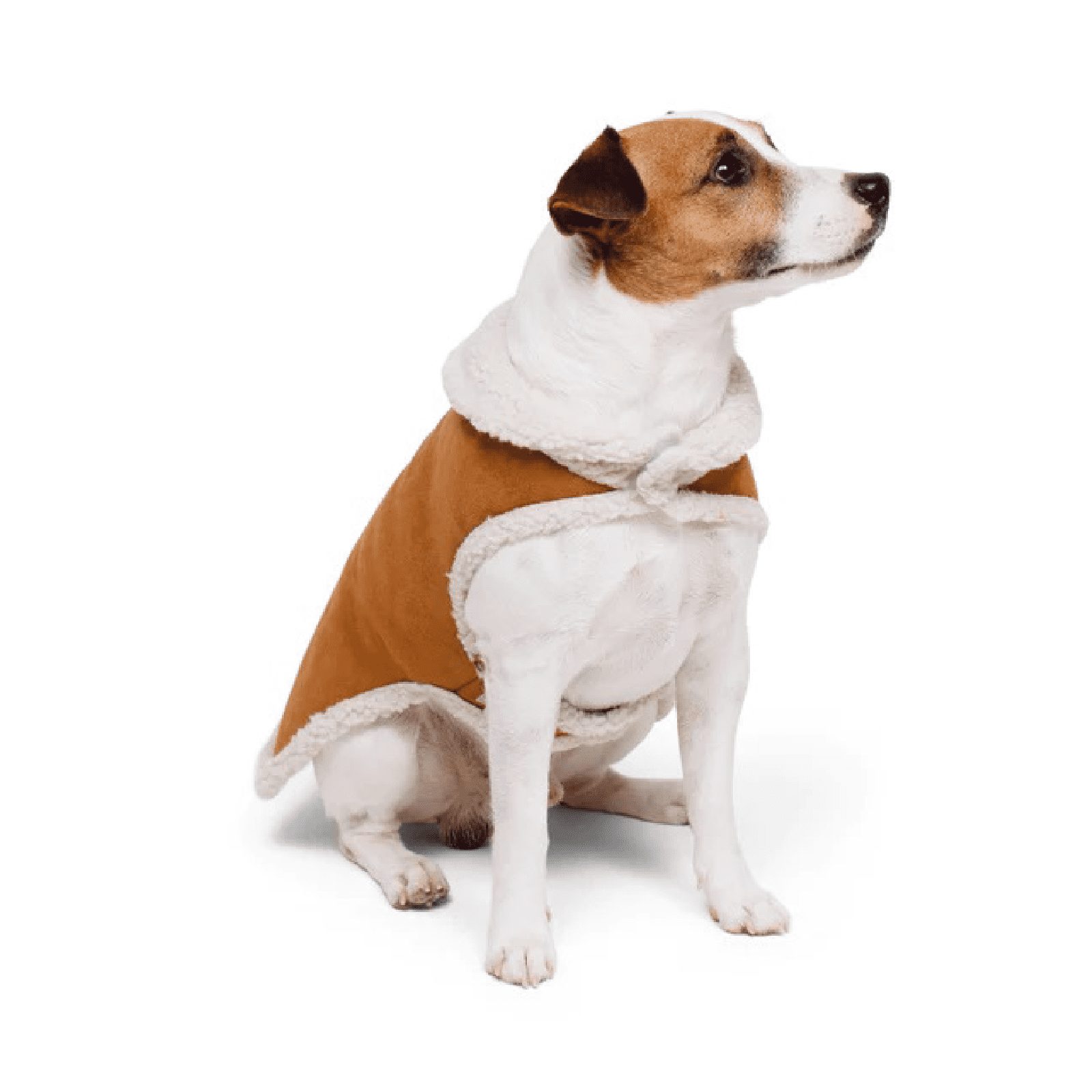 Show & Tail Faux Suede Dog Quilted Coat » Dogfather and Co. | Dog ...