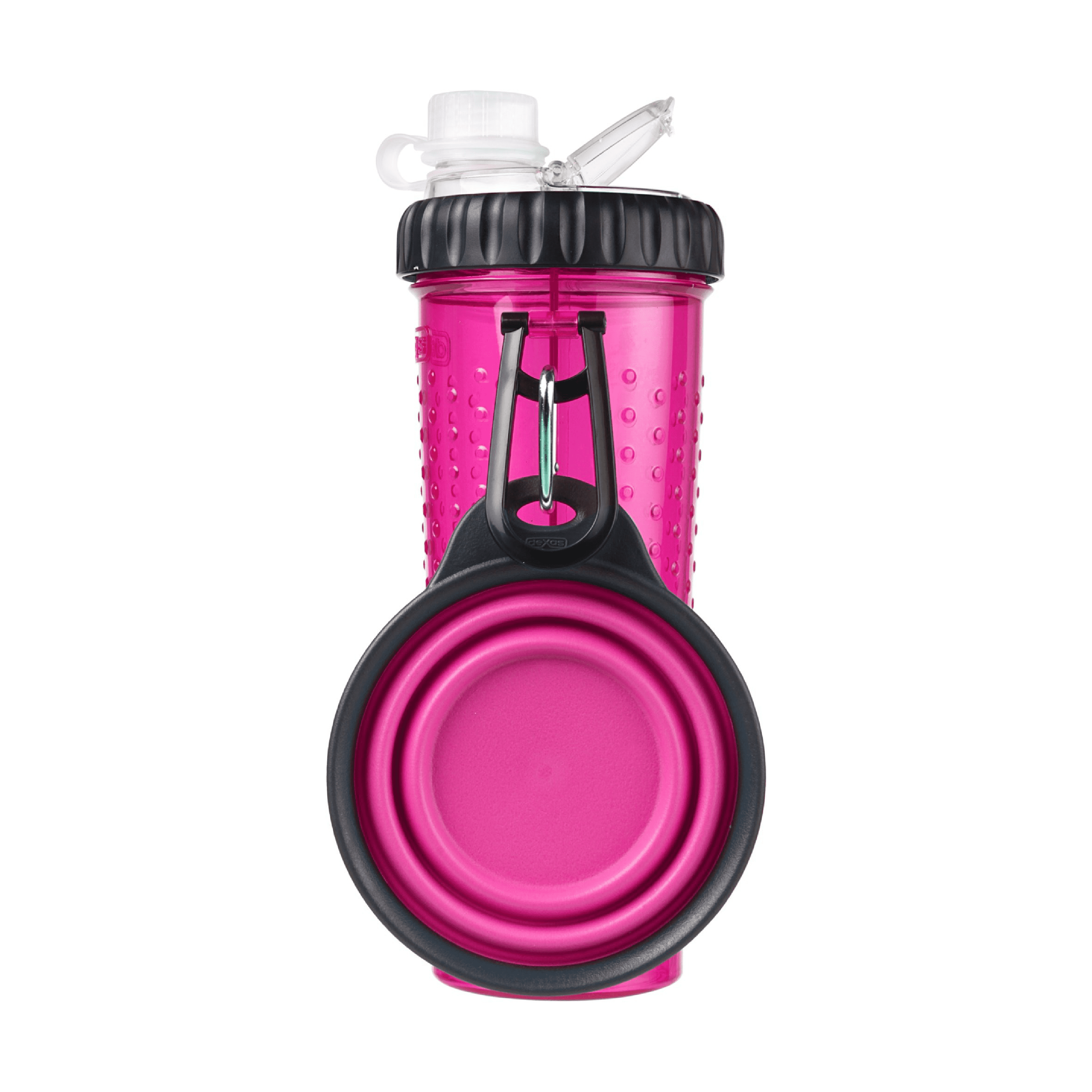 Dexas Snack-DuO with Companion Cup 24oz. » Dogfather and Co. | Dog ...