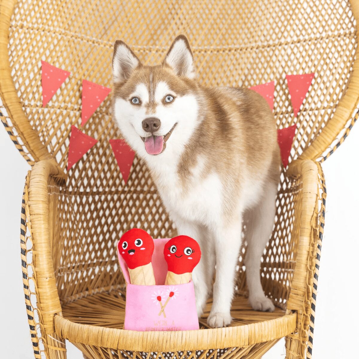 Pet Shop by Fringe Studio Perfect Match » Dogfather and Co. | Dog ...