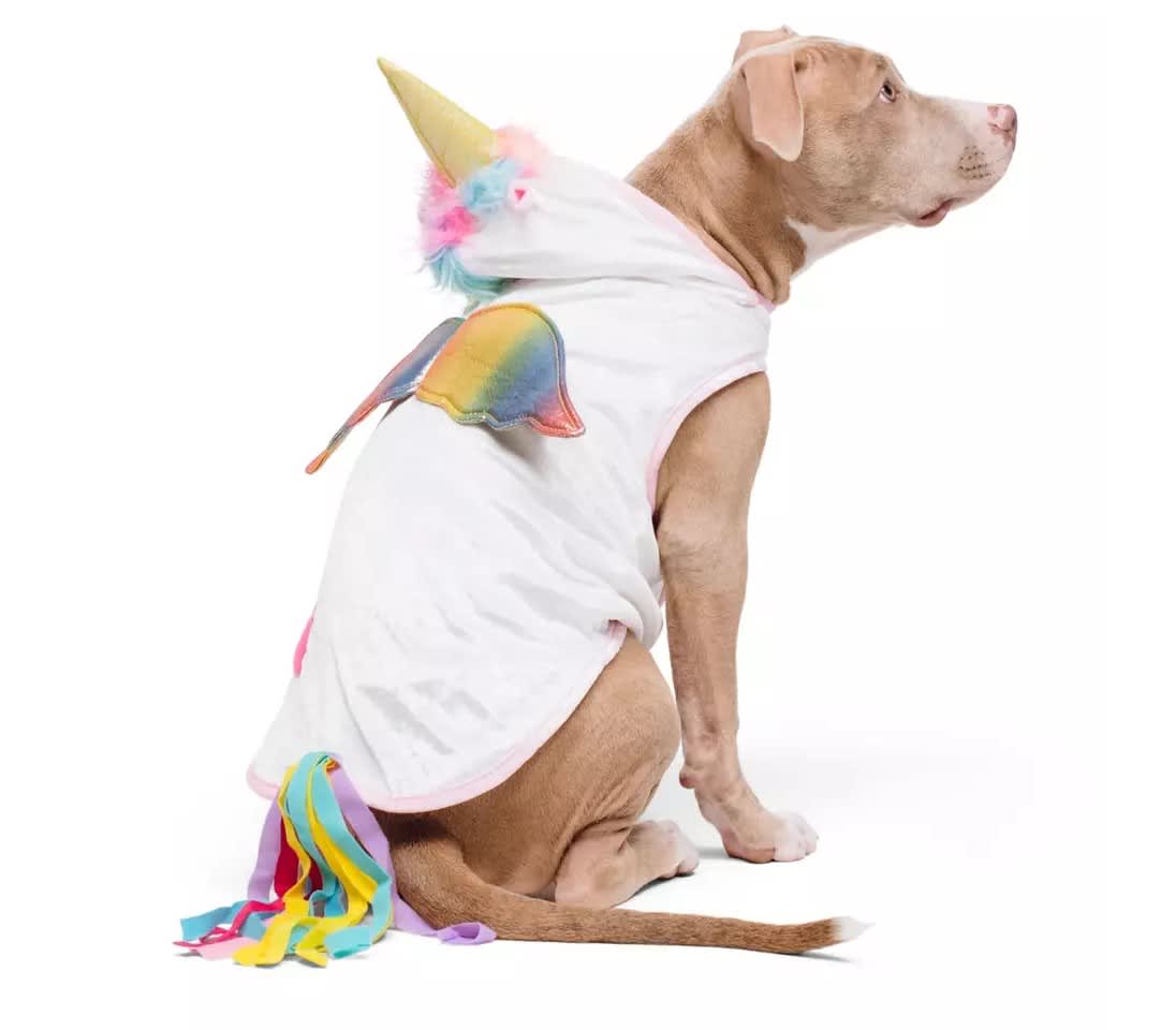 Show & Tail Costume Flying Magical Unicorn Dog » Dogfather and Co ...