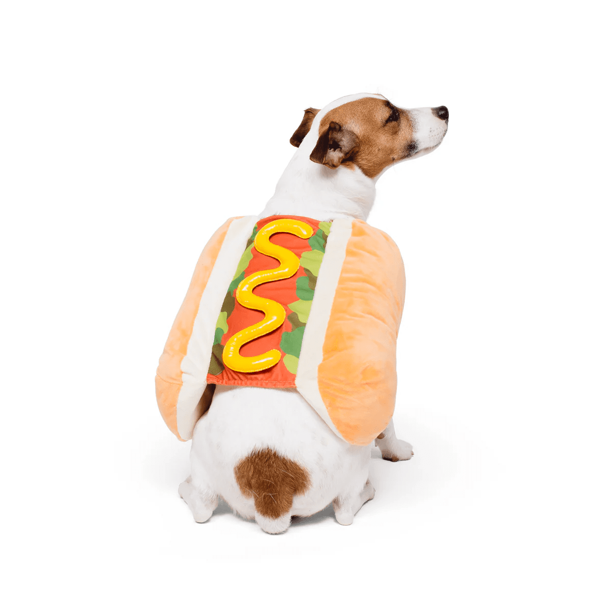 Show & Tail Costume That's One Hot Dog! » Dogfather and Co. | Dog ...