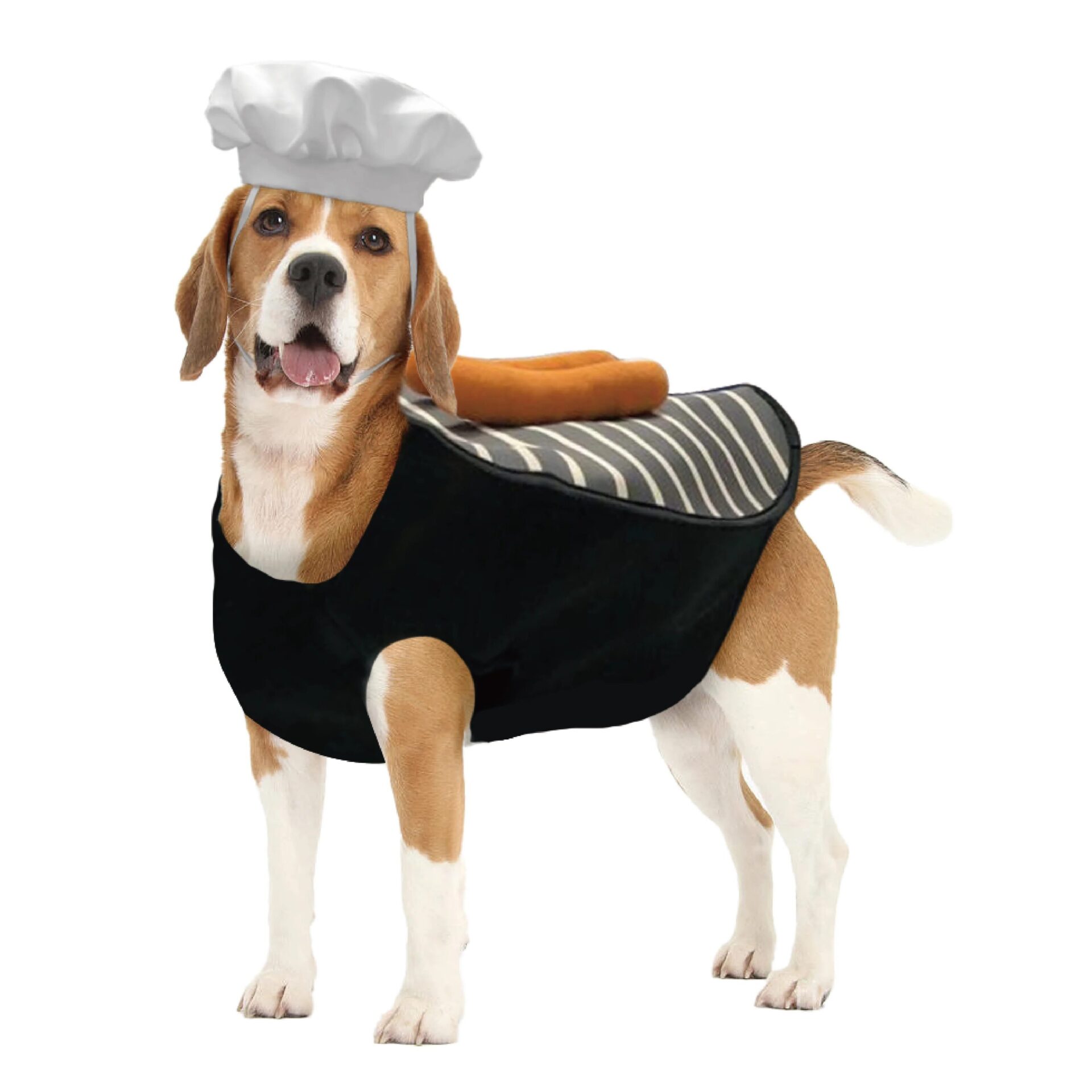Show & Tail Costume The Furry Foodie » Dogfather and Co. | Dog Grooming ...